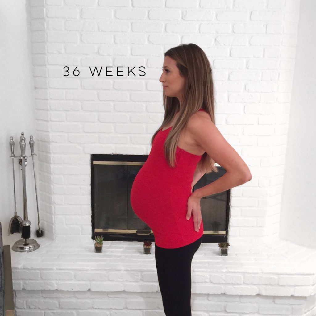 36 WEEKS PREGNANT - Showit Blog